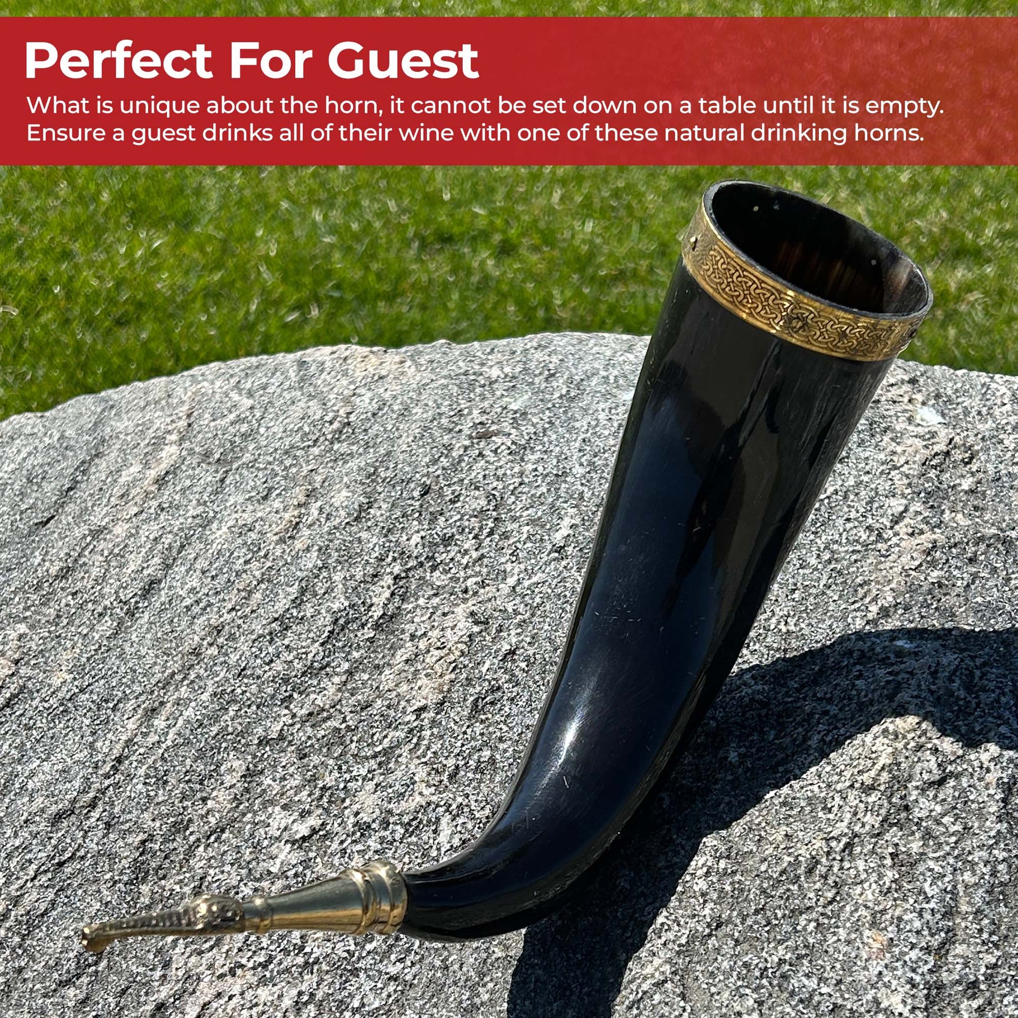 Navigators Serpent Viking Compass Horn with Jormungandr — Medieval Depot